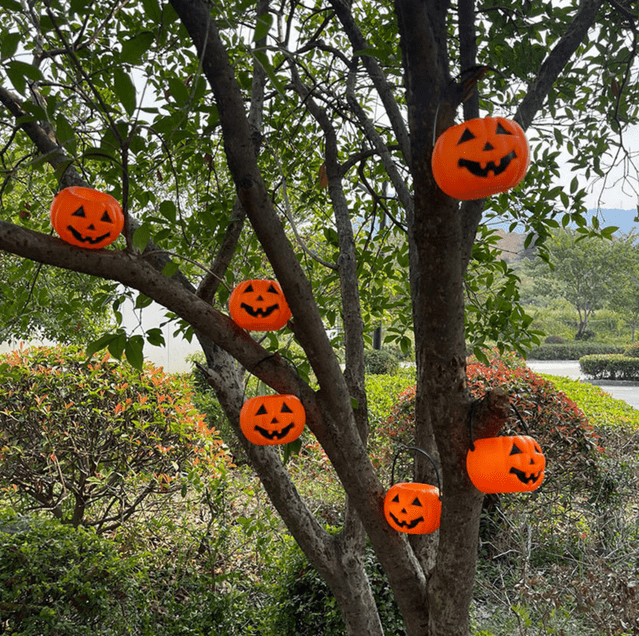 8 Pcs Halloween Pumpkin Candy Bucket, Plastic Portable Pumpkin Candy ...