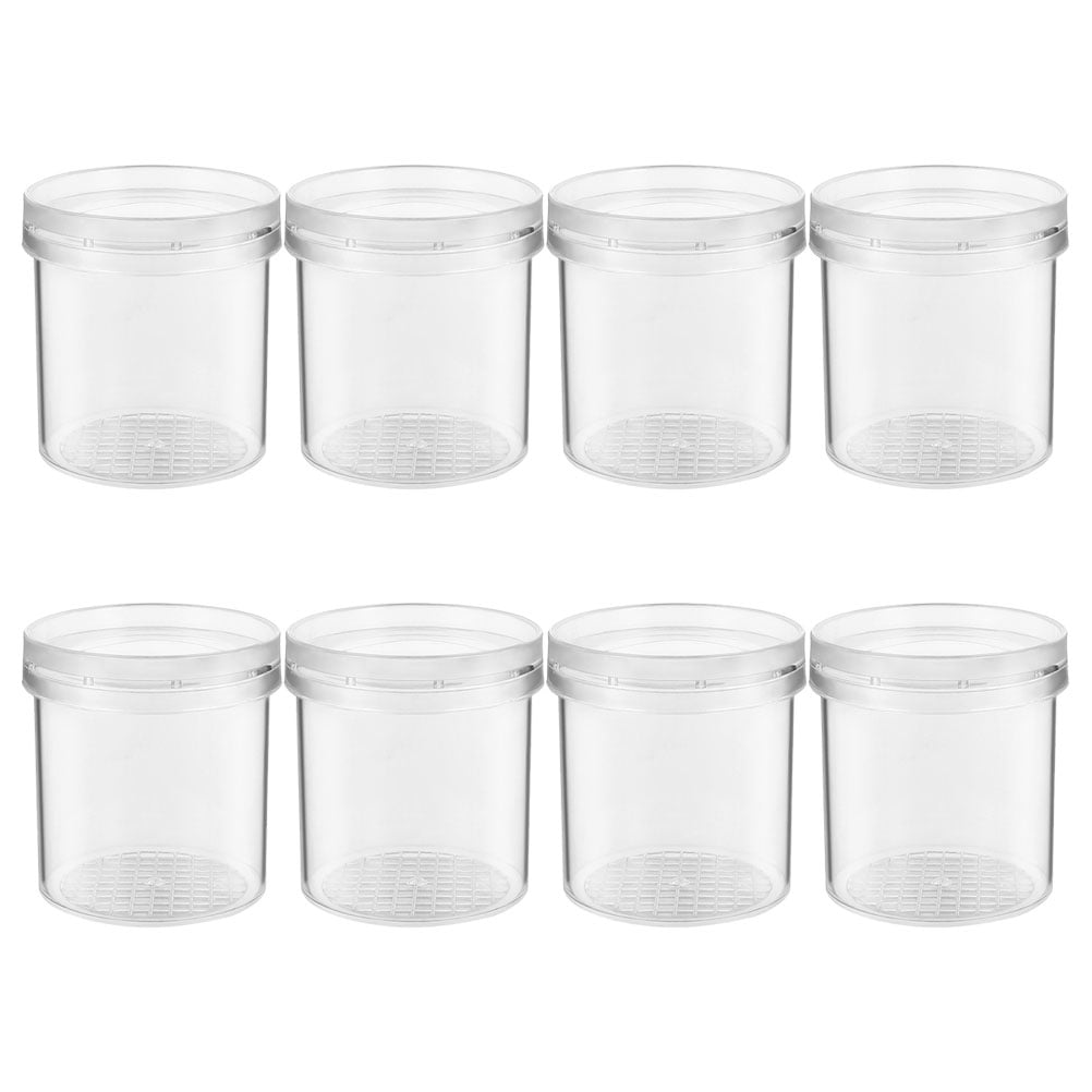 ifundom Insect Box Insect Habitat Box Plastic for Families Nature Study ...