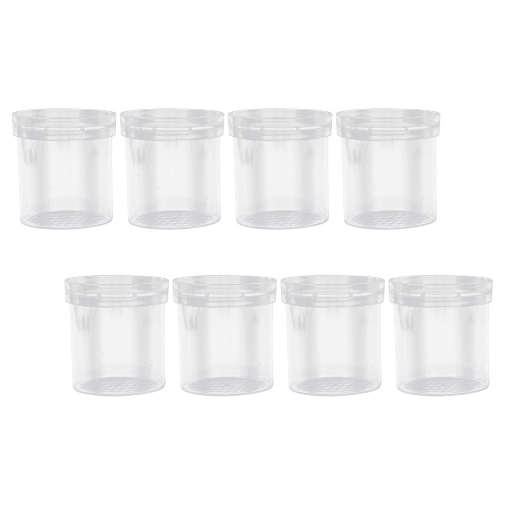 8 Pcs Insect Observation Cup Bugs Magnifier Jar Bug Pots Insect Cage ...