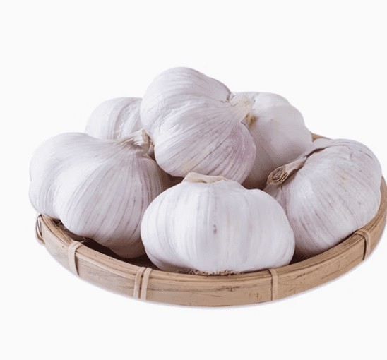 8 Polish Garlic Bulbs for Planting and Gardening, Hardneck Garlic ...
