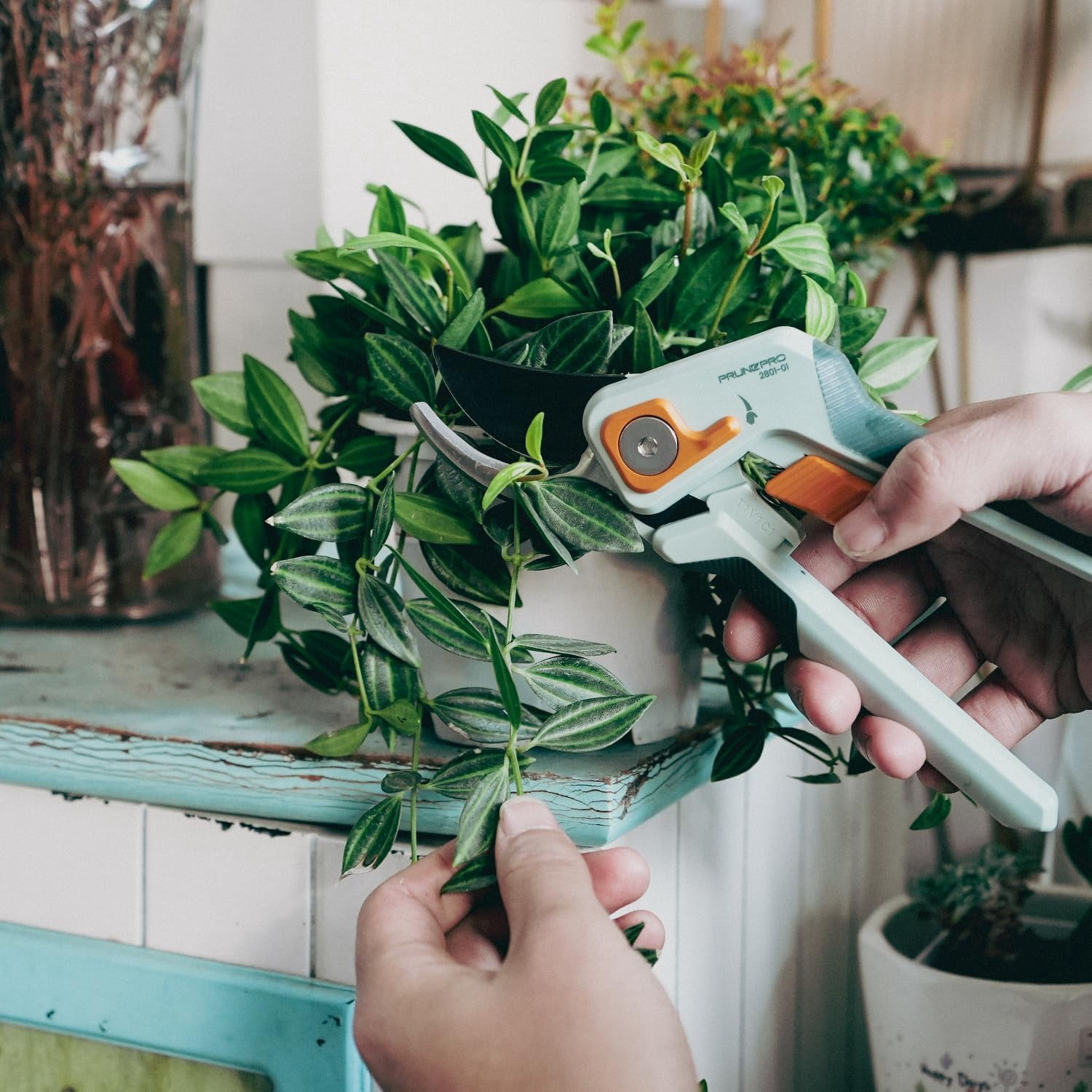 8" Professional Pruning Shears for Gardening Bypass Hand Pruner ...