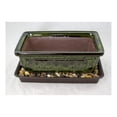 8" Rectangular Moss Green Pot, Cactus & Planter + Tray + Rock + Mesh ...