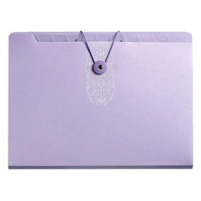 File Folders Multiple Sections