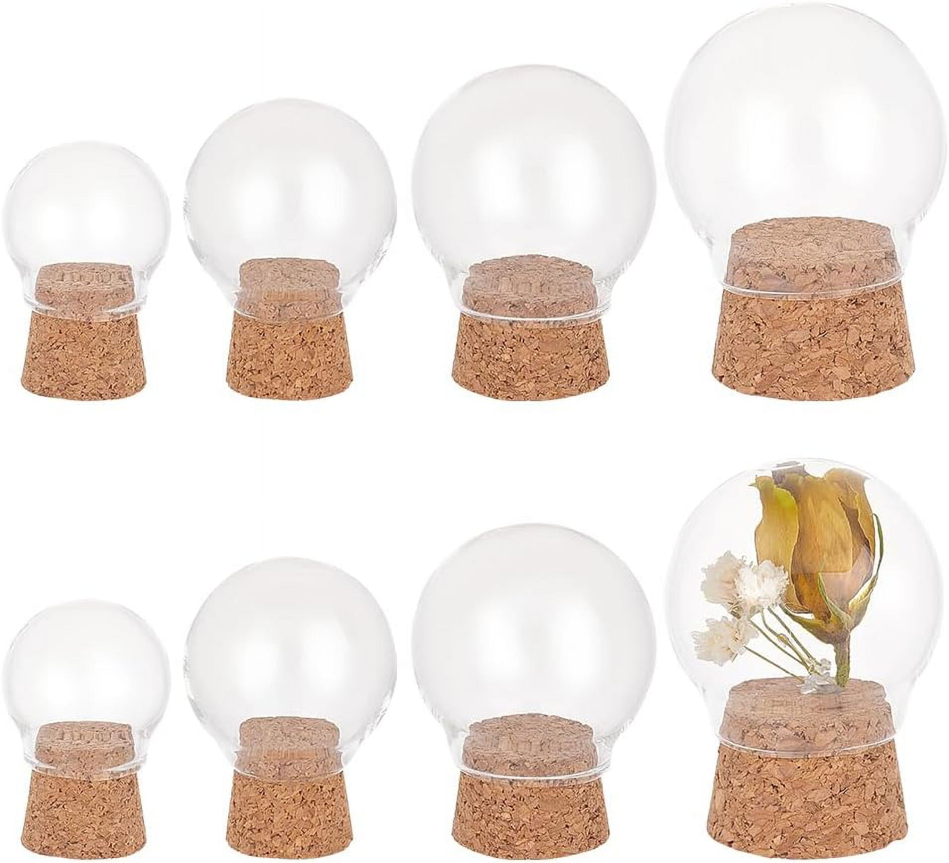 8 Sets 4 Style Round Glass Dome Cover Decorative Display Case Cloche ...