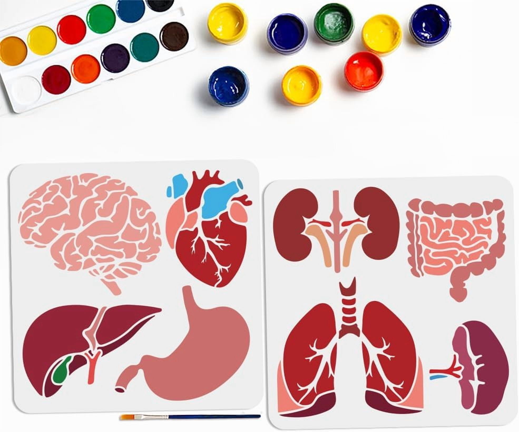 8 Styles Internal Organs Stencil 11.8×11.8inch Heart Brain Stencils ...