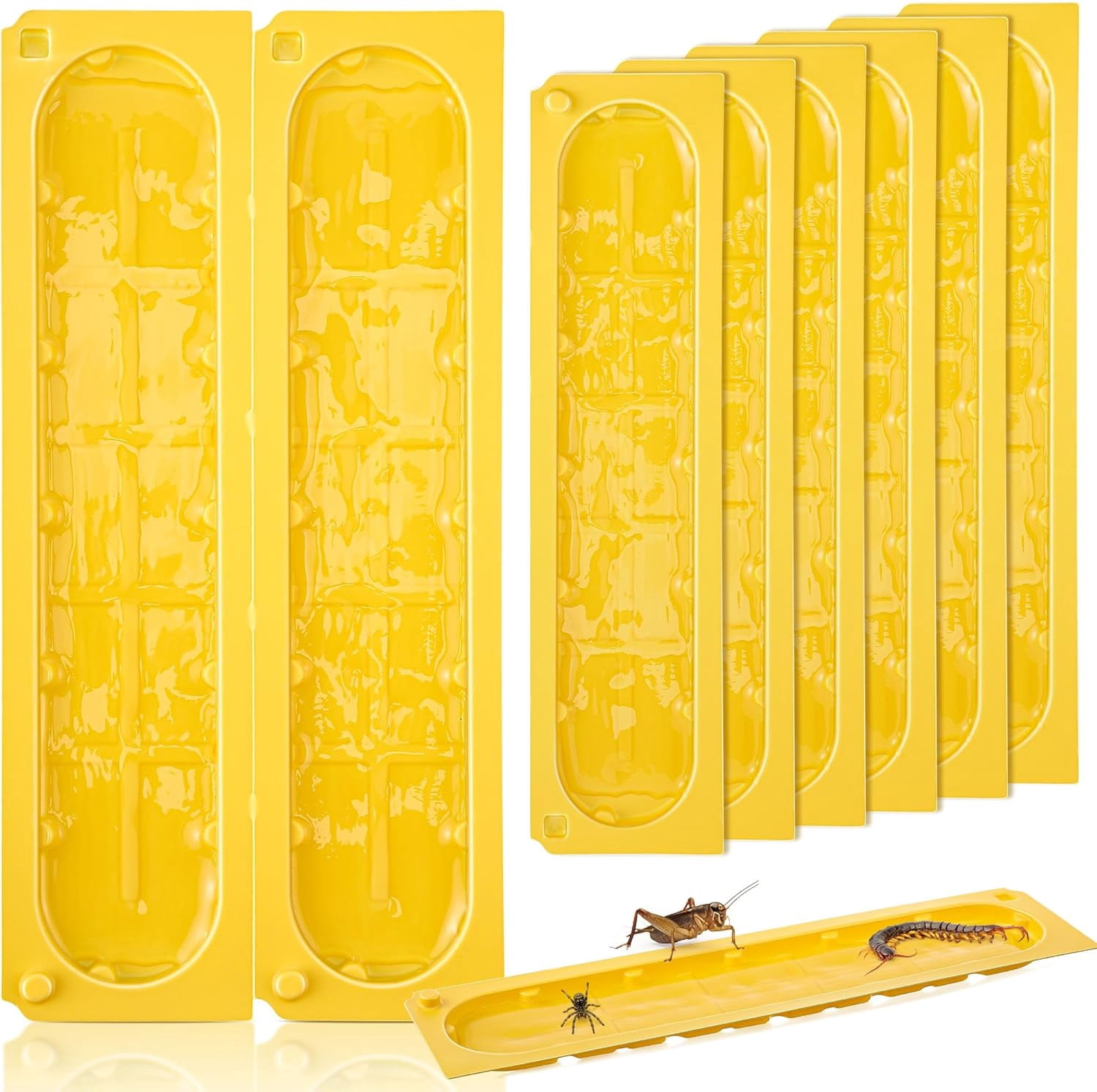 8 Traps Spider & Cricket Glue Traps, Pest Catchers, Non-Toxic Extra ...