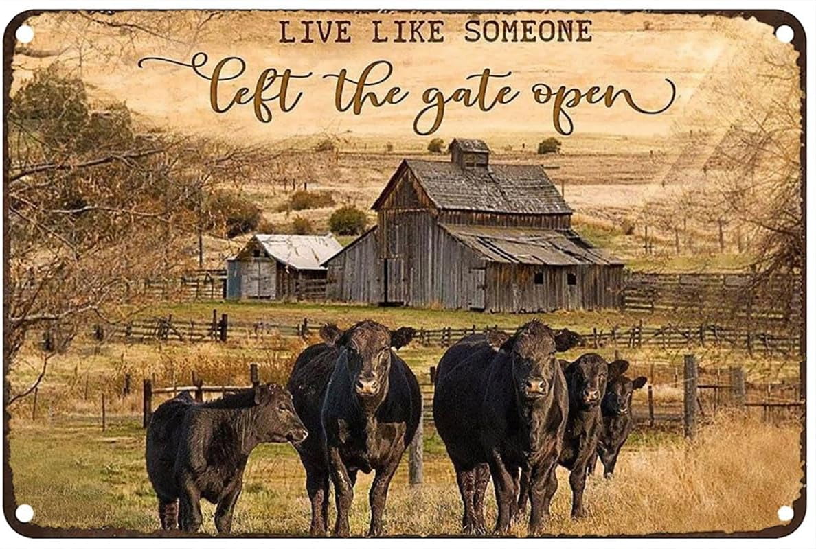 8"X 12" Live Like Someone Left The Gate Open Black Angus Cow Vintage ...