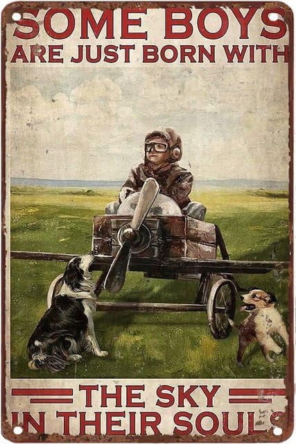 8"X 12" Vintage Metal Tin Signs Airplane And Dogs Some Boys Are Just ...
