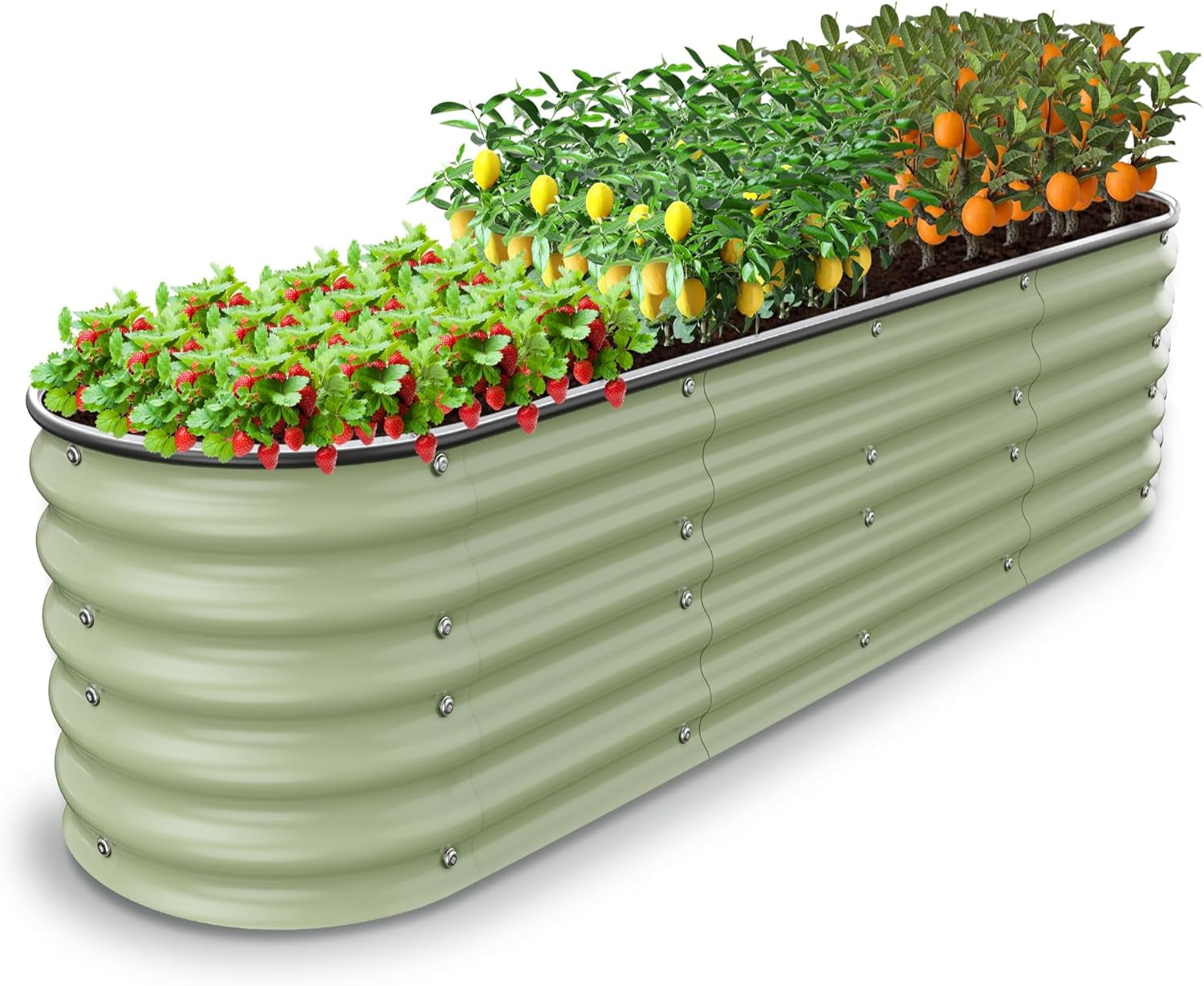 8 X 2 X 1.4 Ft Galvanized Raised Garden Bed,Sturdy and Easy to Assemble ...