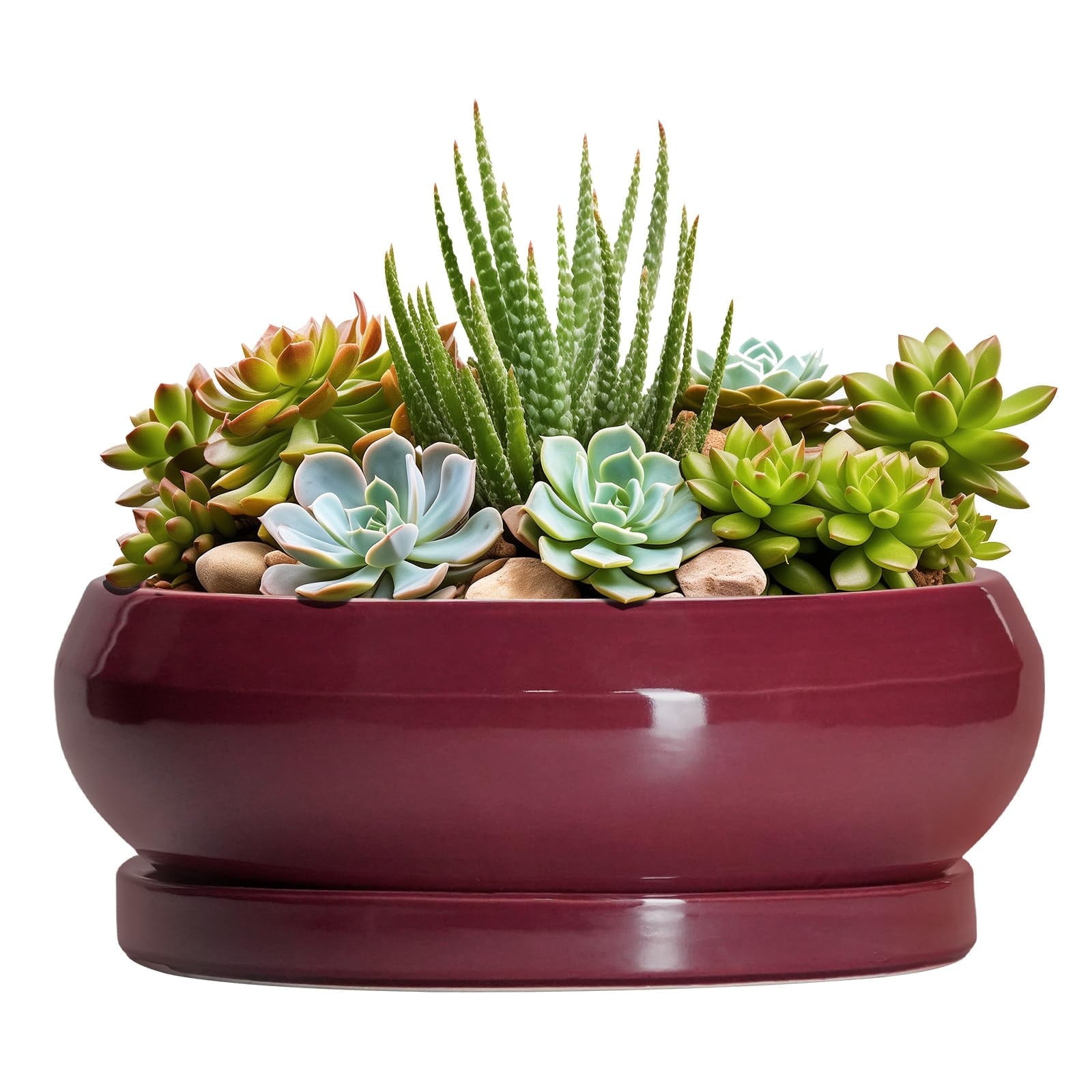8 inch Ceramic Plant Pot, Round Flower Pot with Drainage, Decorative ...