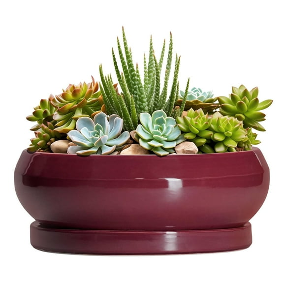 8 inch Ceramic Plant Pot, Round Flower Pot with Drainage, Decorative ...