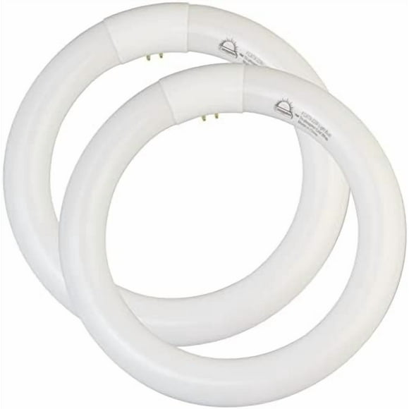 Circular Light Bulbs