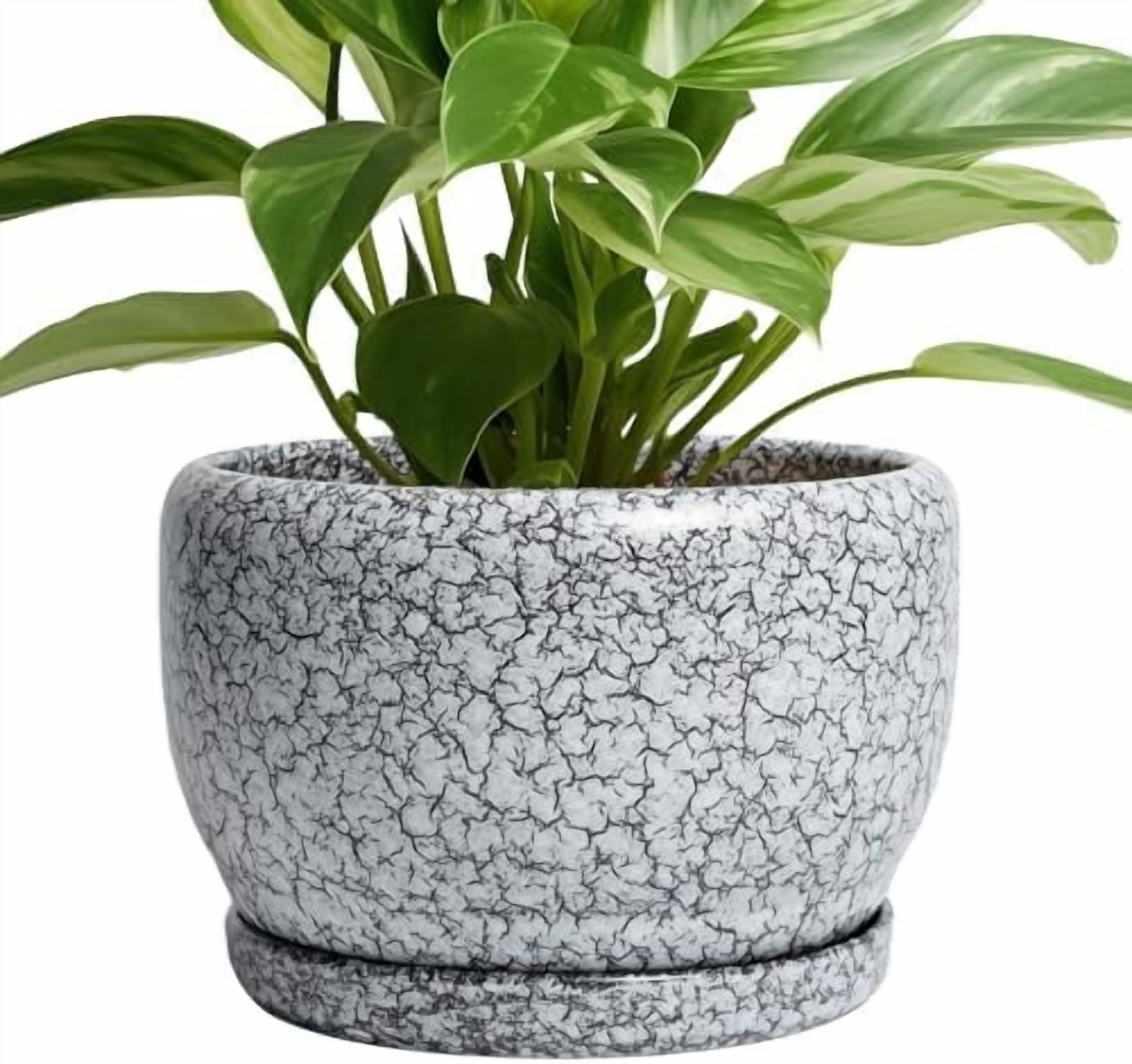 8 inch Plant Pot - Ceramic Planter with Drainage Hole and Saucer, Round ...