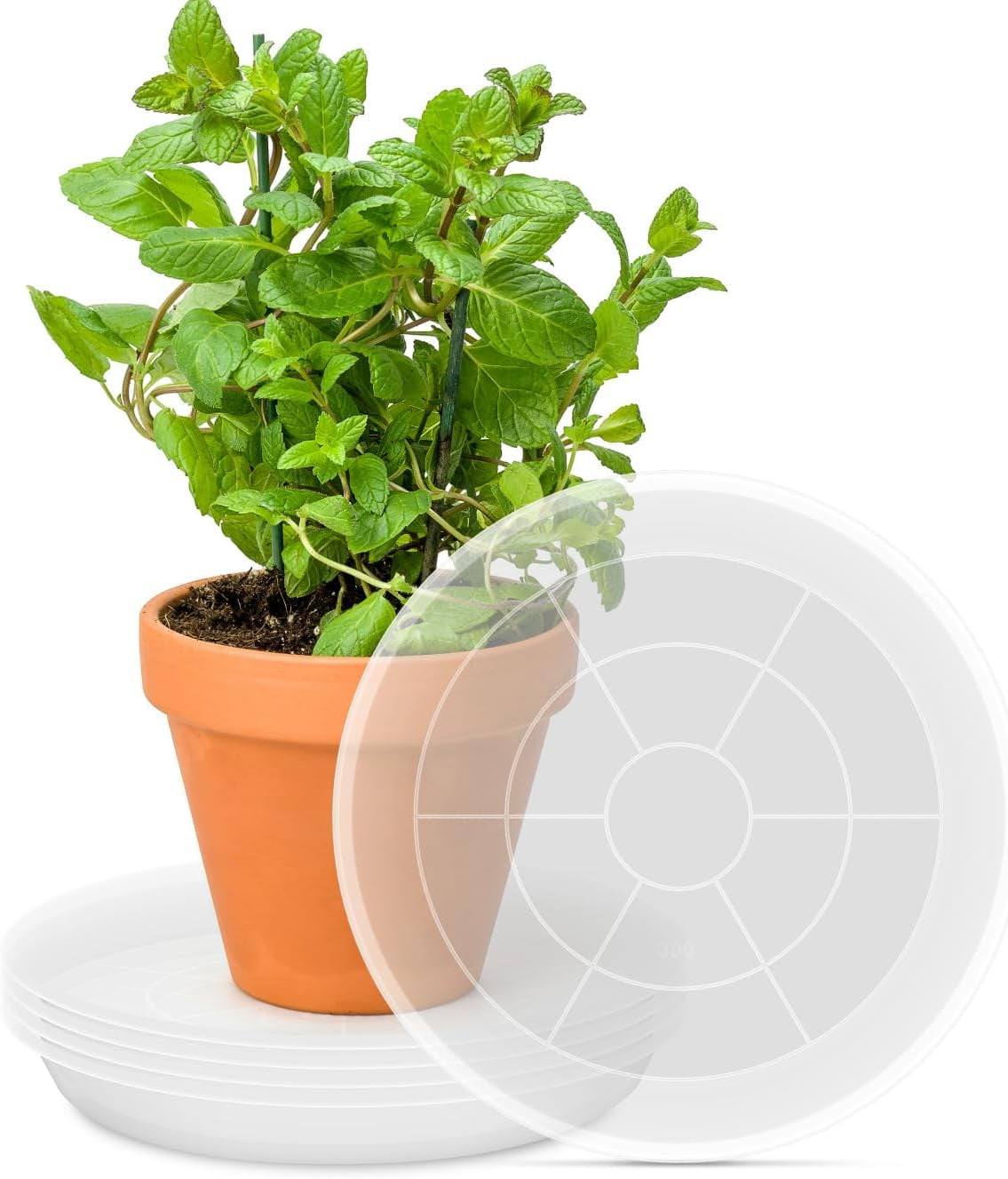 8 inch Plant Saucer Pot Tray 5 Pack, Large Heavy Duty Flower Planter ...