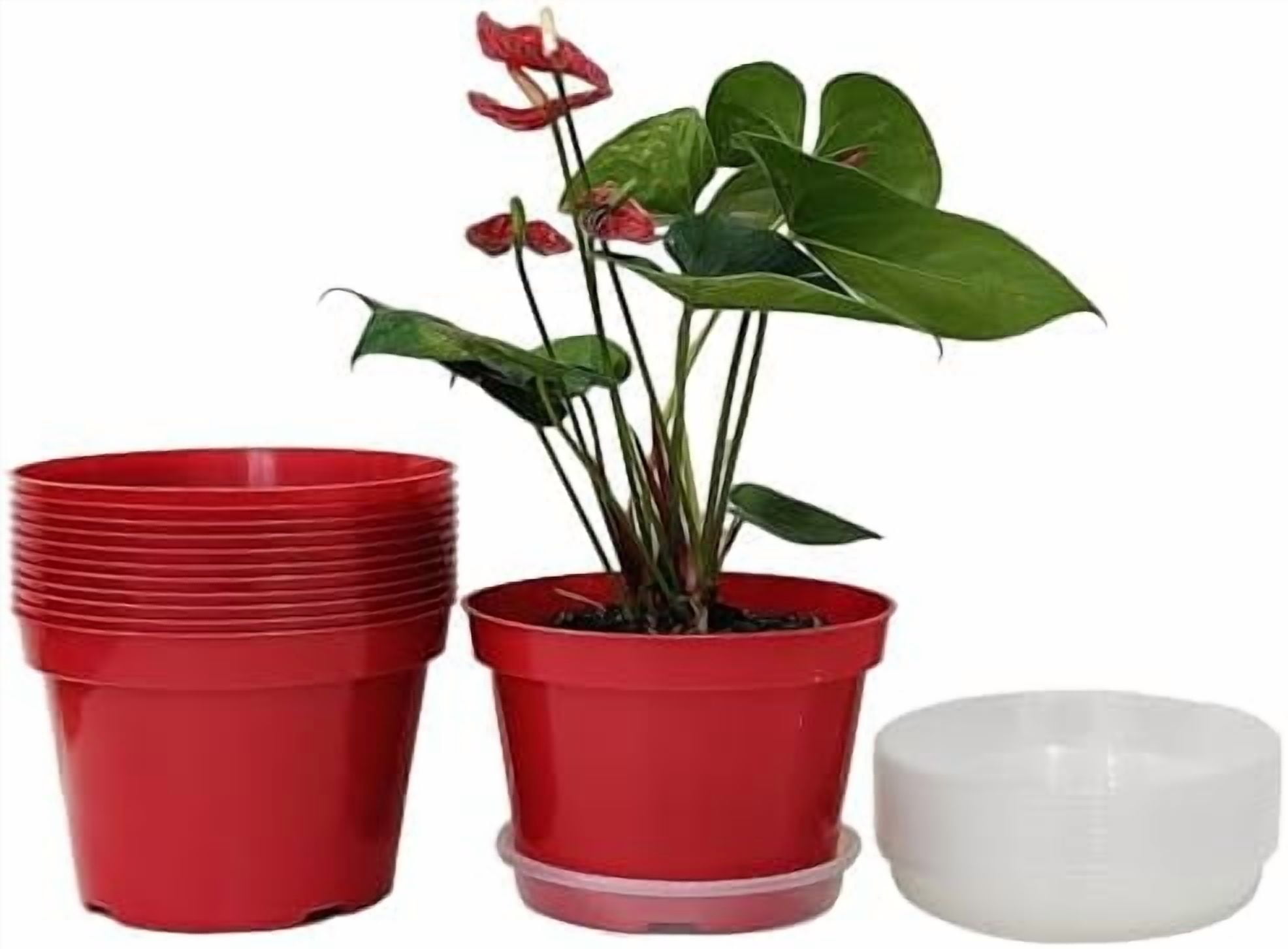 8 inch Plastic Flower Pots, Red Plant Pots 12Pack with Saucers for ...