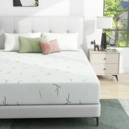 Zinus Serenity 8 Memory Foam Full size Mattress with Spa Sensations Odor neutralizing and Worry free 10 year Warranty Walmart
