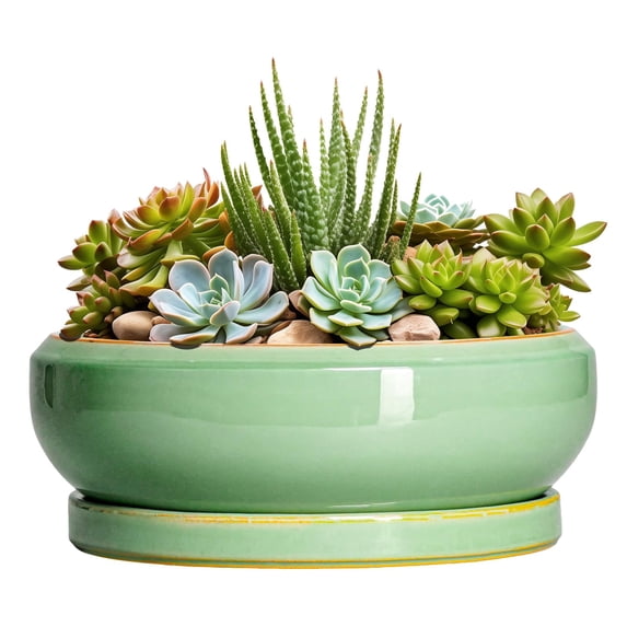 8 inch Succulent Planter for Patio, Shallow Ceramic Pot with Drainage ...