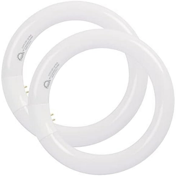 Circular Light Bulbs