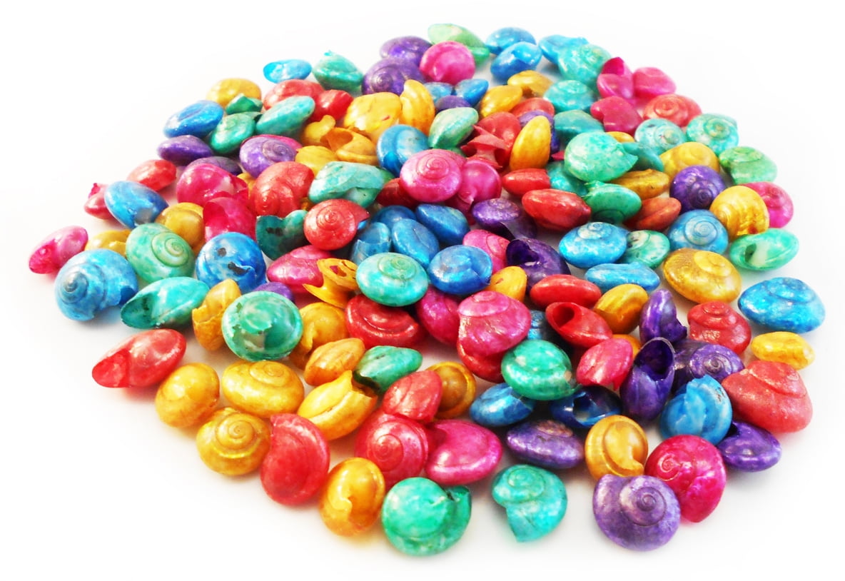 8 oz (about 600 shells) Tiny Dyed Umbonium (Button) Mini Shells (1/4 ...