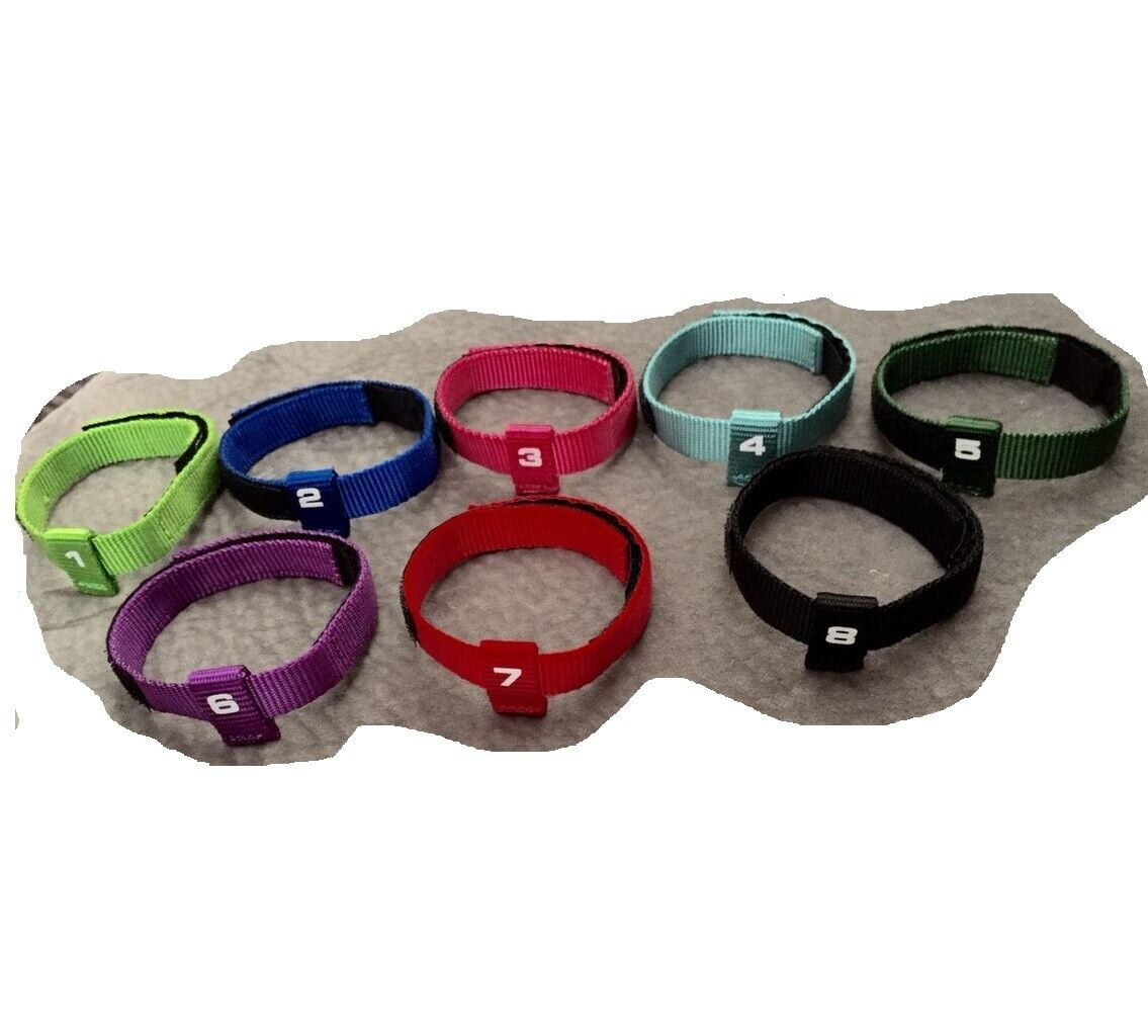8 pc Puppy ID Collar Kits for Dogs Litter Whelping Breeder Vet Shelter ...