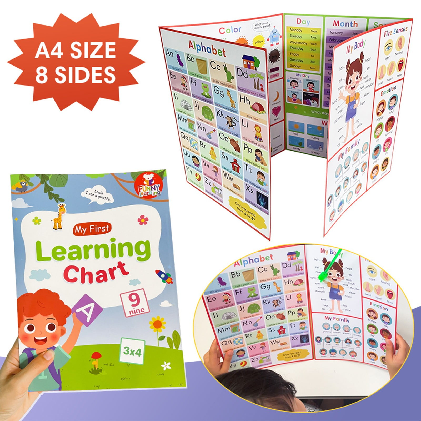 8 sides Colorful Words Picture Book - Reading English Gujarati Starter ...