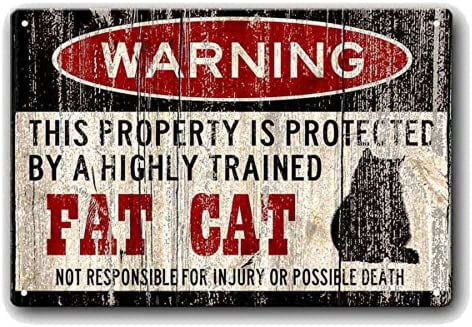 8 x 12 in Metal Tin Sign - Funny Fat Cat Sign Warning Vintage Style ...