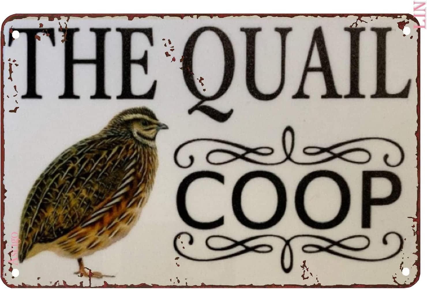 8 x 12 in Metal Tin Sign - Funny Metal Bar Signs - Quail Coop White ...