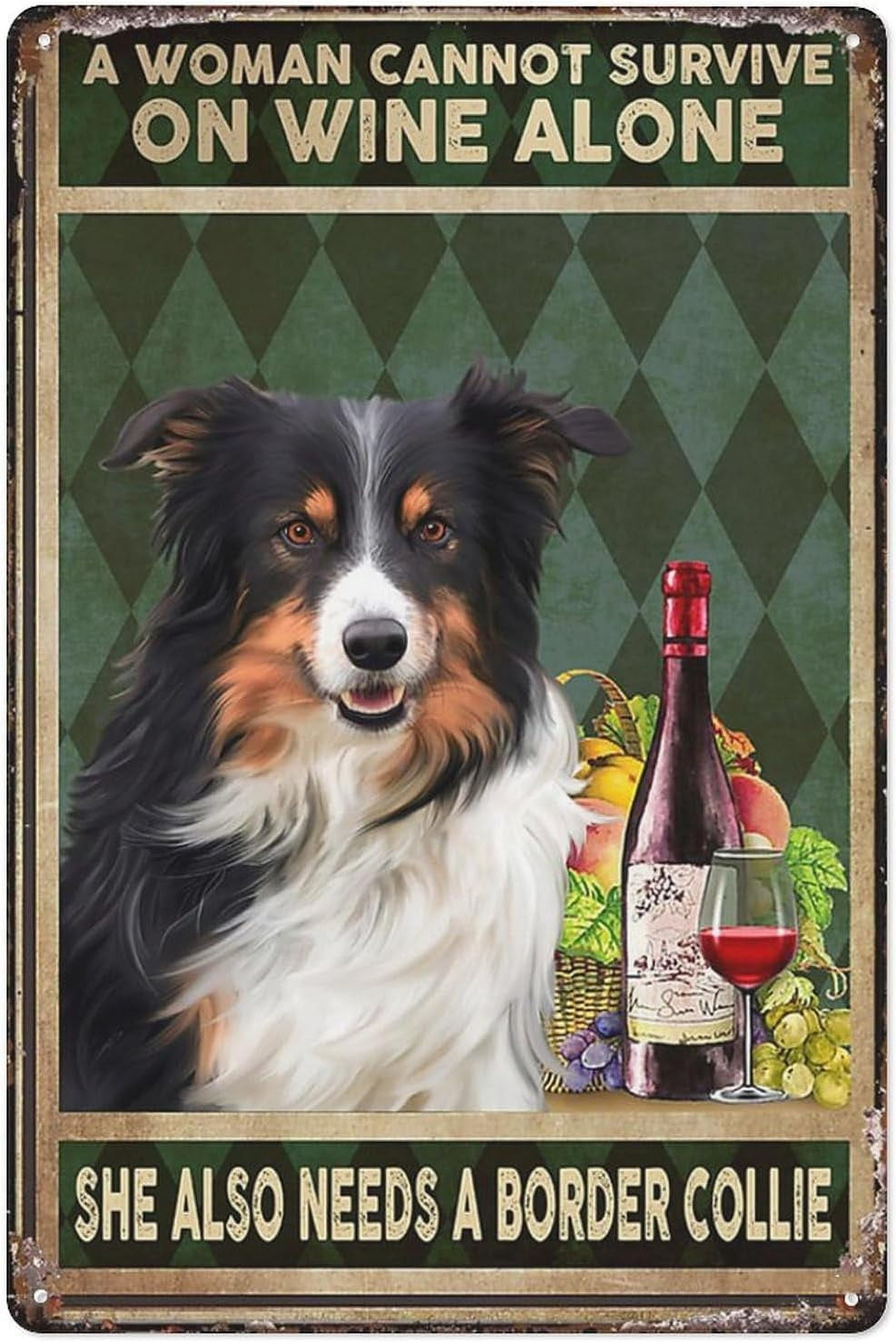 8 x 12 in Metal Tin Sign - Vintage Border Collie Wine A Woman Cannot ...