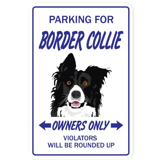 8 x 12 in. Border Collie Sign - Walmart.com