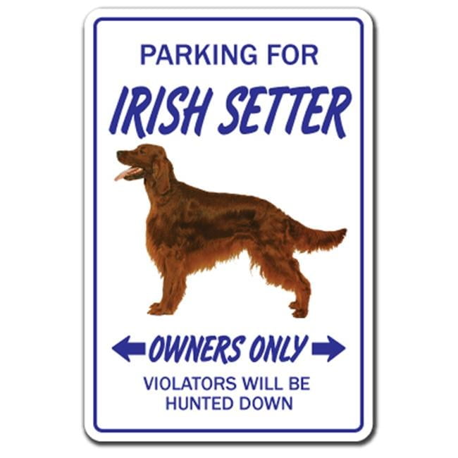 8 x 12 in. Irish Decal - Parking Flag Beer Ireland Clover Lover Luck St ...