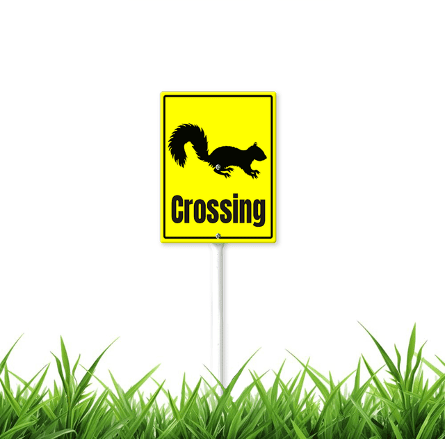 8 x 12 inch Double Sided Squirrel Crossing Xing Yard Sign with Stake ...