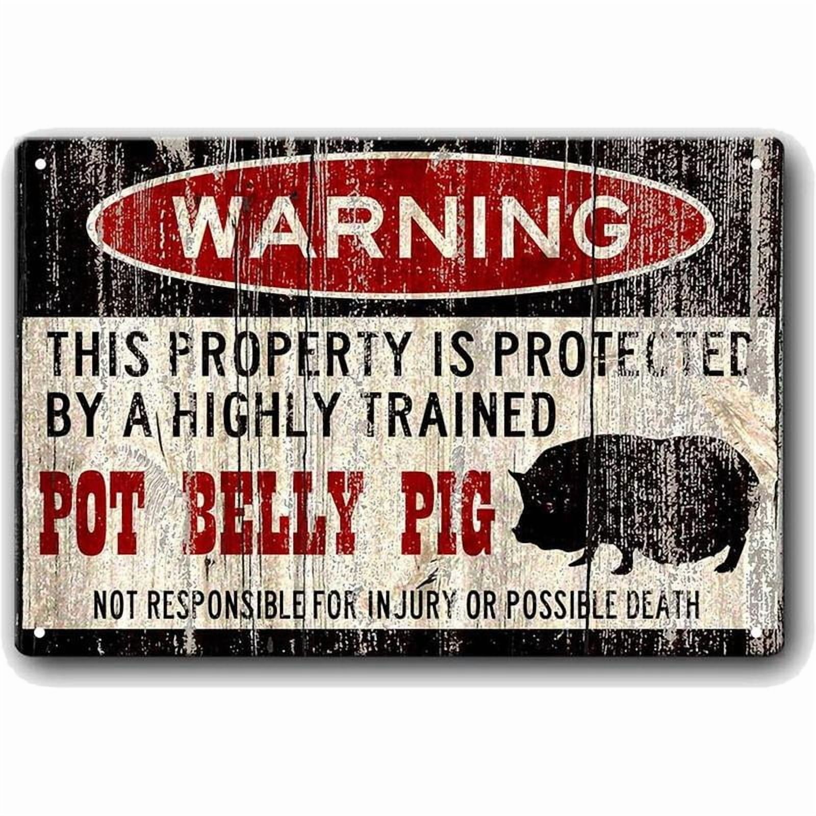 8 x 12inch Vintage Metal Sign Warning This Property is Protected by a ...