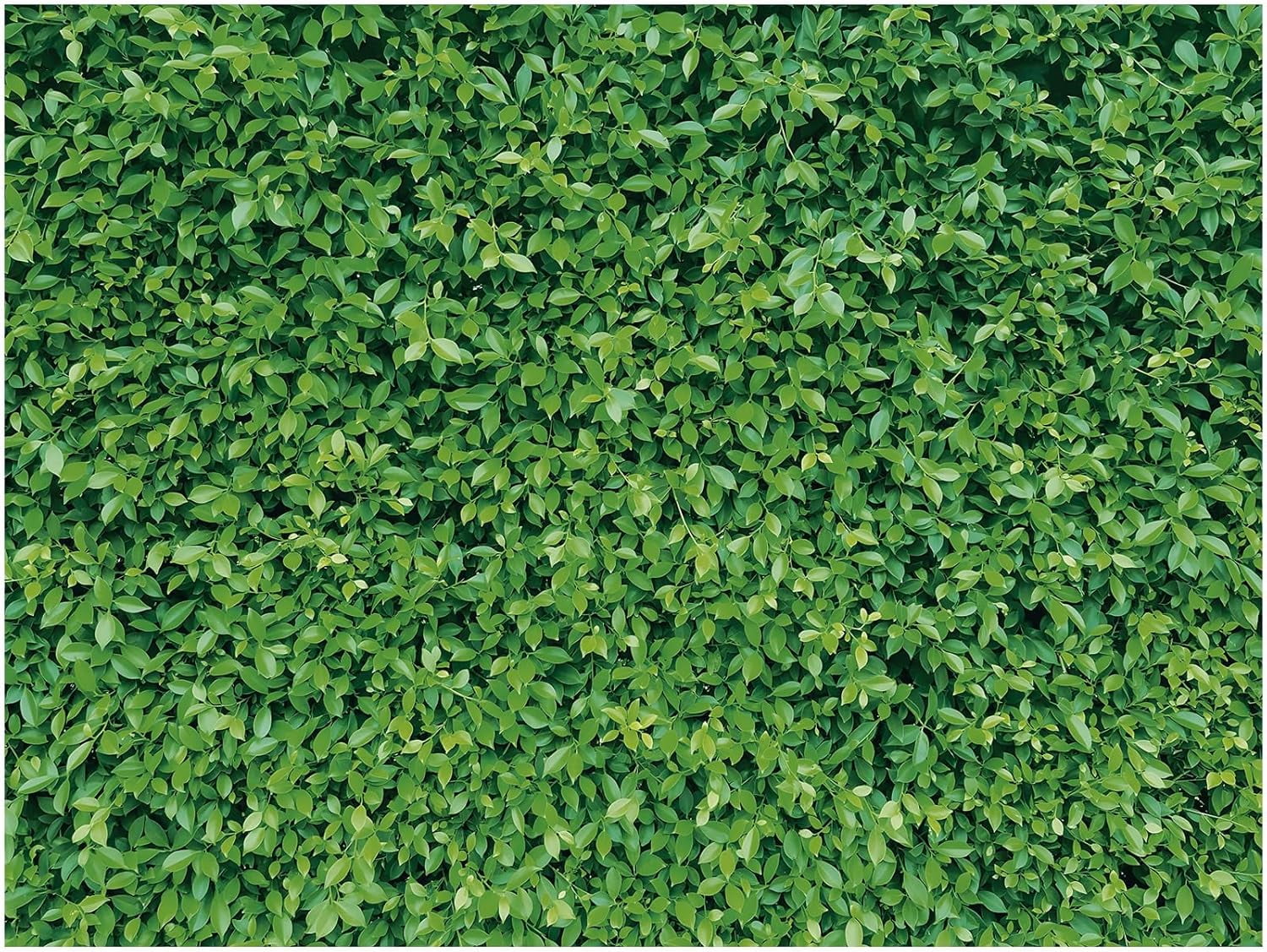8 x 6 ft Green Leaves Wall Backdrops Photography 3D Greenery Grass ...