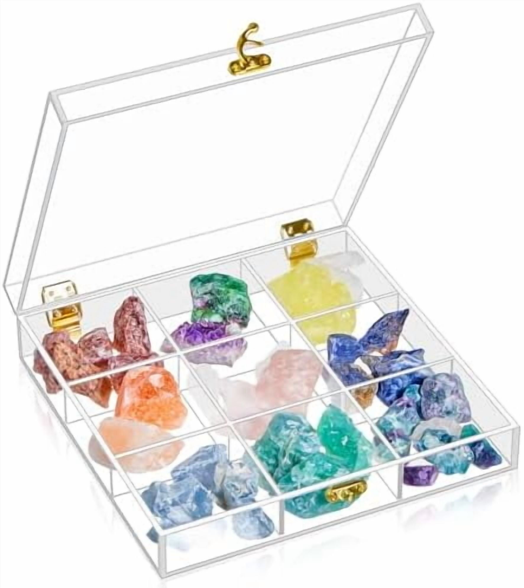 8" x 8" Acrylic Rock Display Case Adjustable Seashell Holder 9 ...