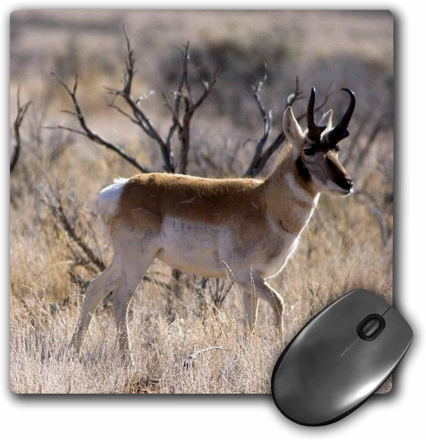 8 x 8 x 0.25 Antelope R. Frazier Mouse Pad (mp_83717_1) - Walmart.com