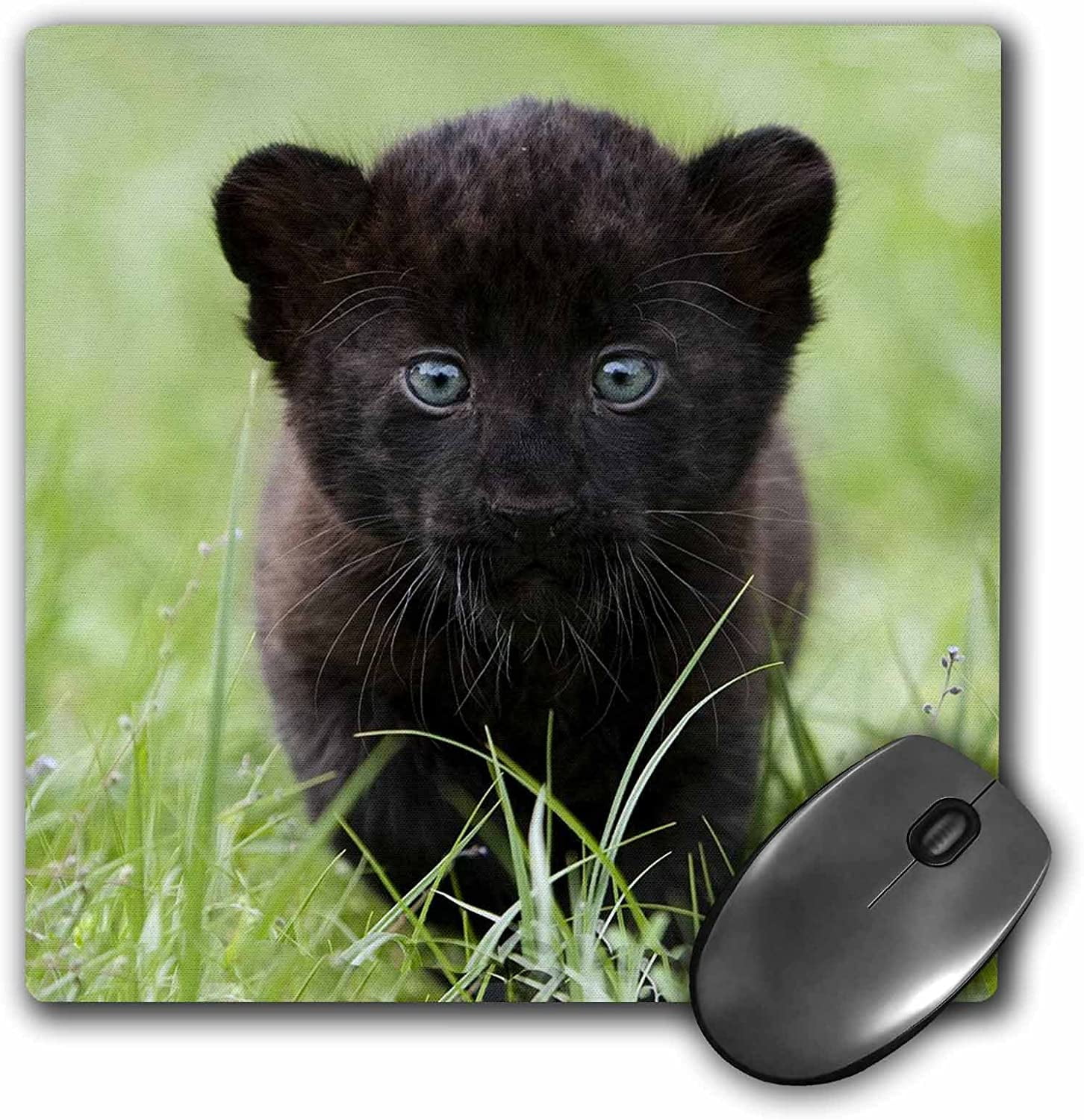 8 x 8 x 0.25 Inches Mouse Pad, Black Panther Cub (mp_4537_1) - Walmart.com