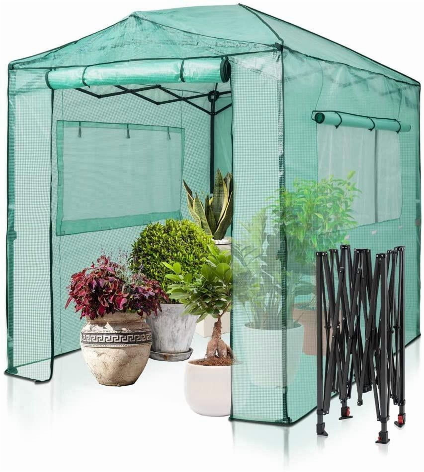 8'x6' Fold Portable Walk-In Greenhouse Gardening Plant Heavy Duty ...
