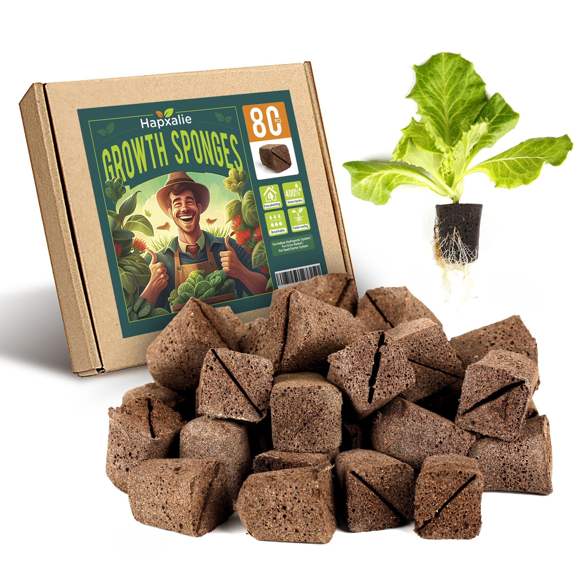 80 Pack Grow Sponges, Starter Plug for Seeds or Cuttings, General ...