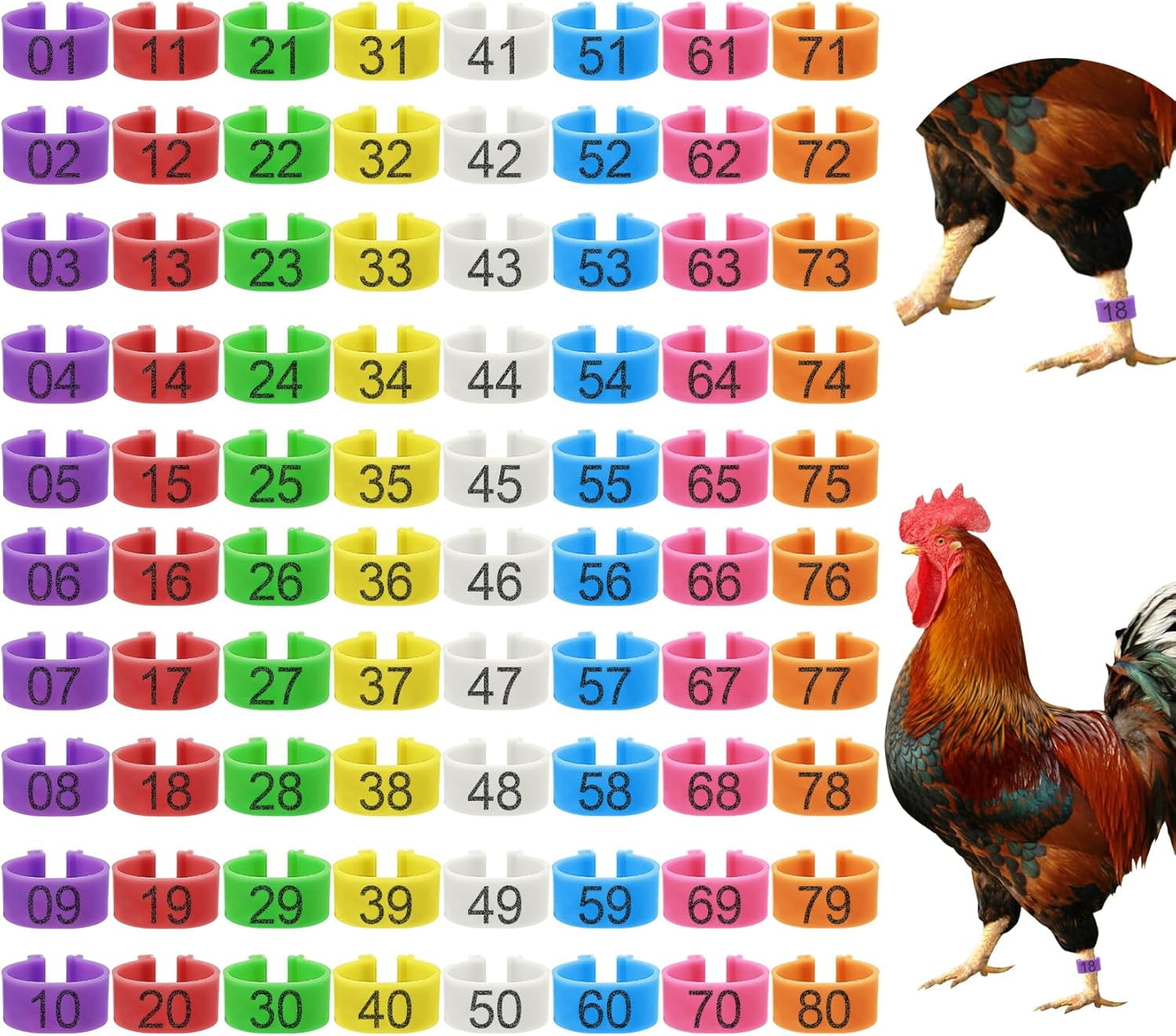 80 Pcs 16mm Chicken Leg Bands with 8 Colors, Colorful 01-80 Numbered ...