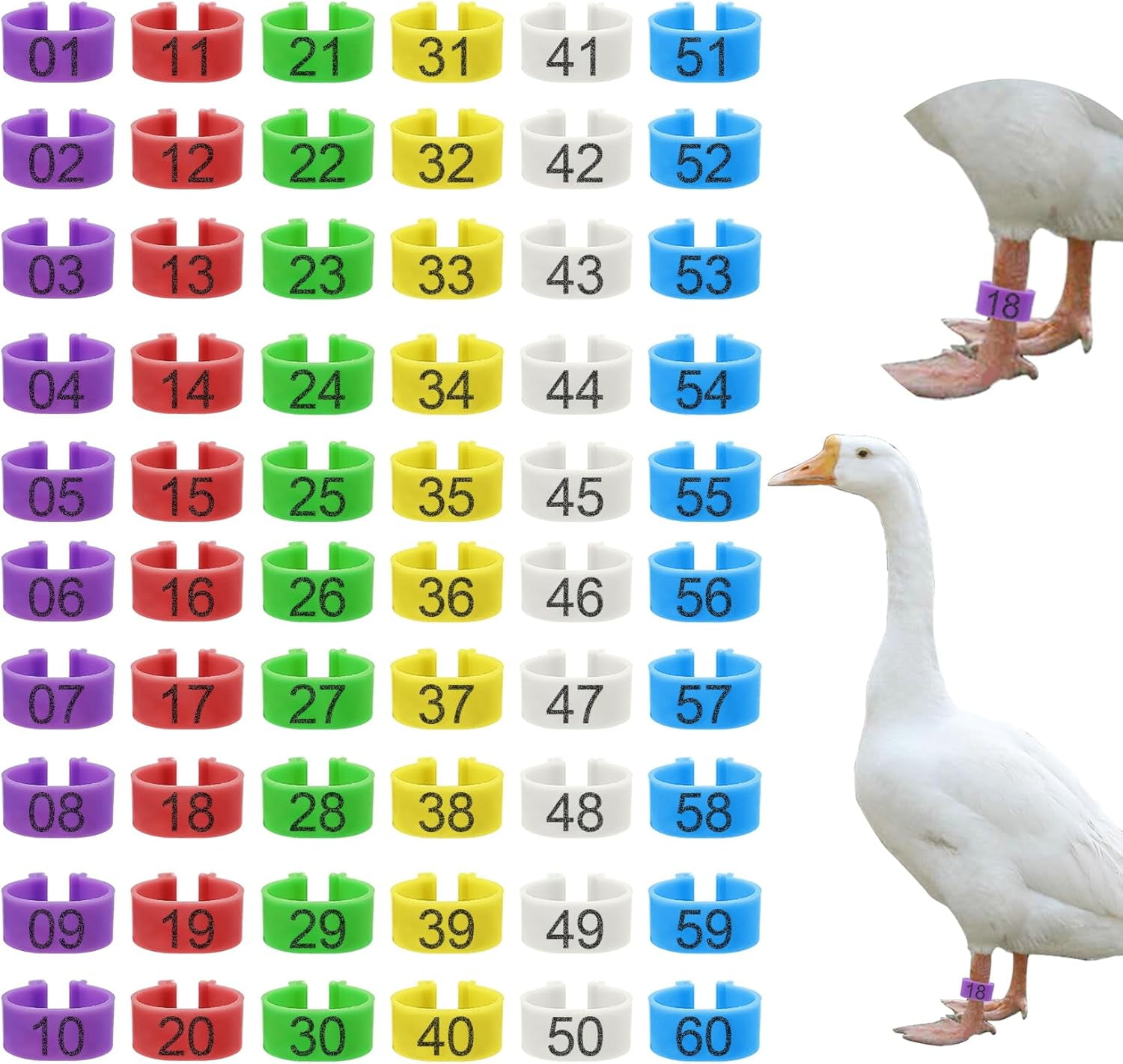 80 Pcs 16mm Chicken Leg Bands with 8 Colors, Colorful 01-80 Numbered ...