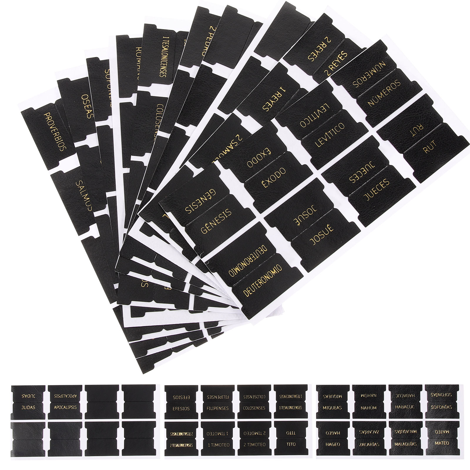 80 Pcs Bible Dividers Tabs Labels and Women's Study Index Book ...