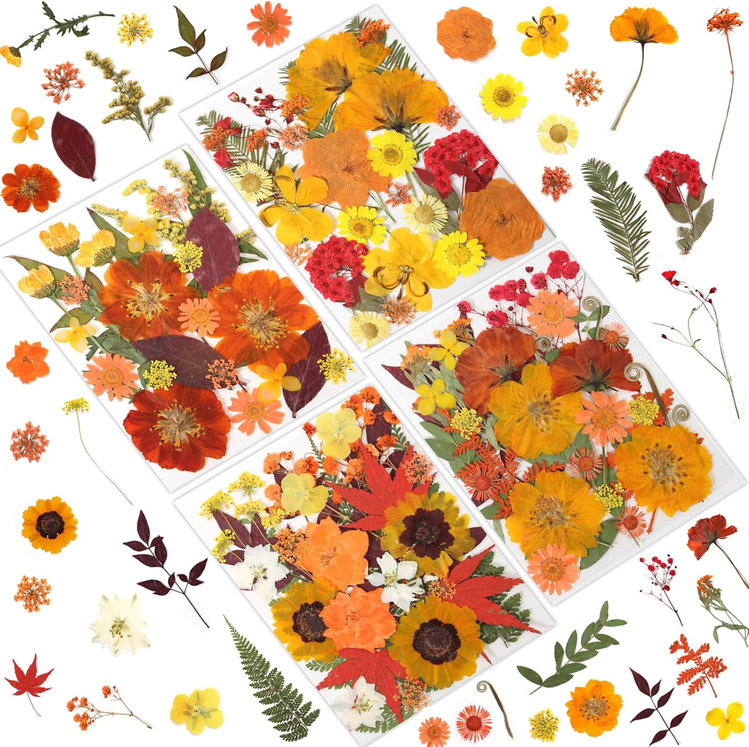 80 Pcs Dried Flowers for Crafts, Real Natural Dried Pressed Flowers in ...