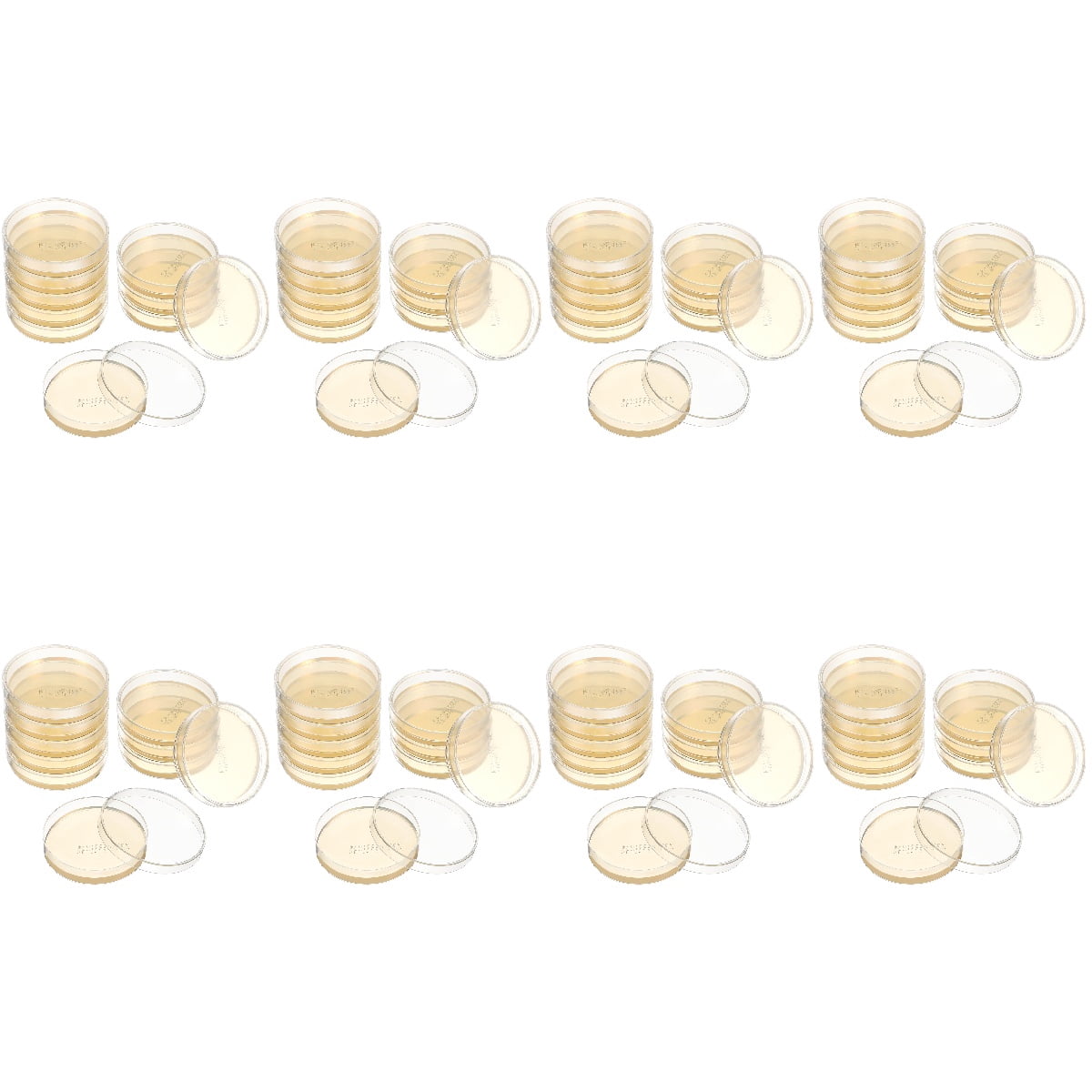 80 pcs Prepoured Agar Plates Petri Dishes with Agar Science Experiment ...