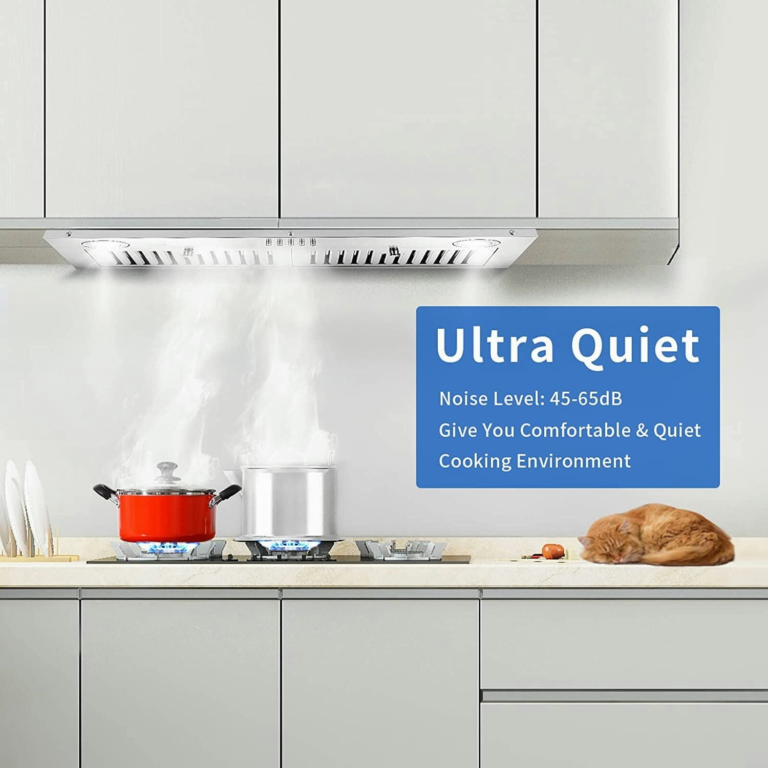 800CFM Kitchen Insert Range Hood 30in Built-in Vent Stainless Steel 3 ...