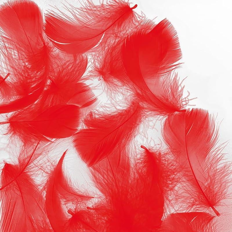 800pcs Colorful Feathers 20 Colors Craft Feathers 3-5 Inches Assorted ...