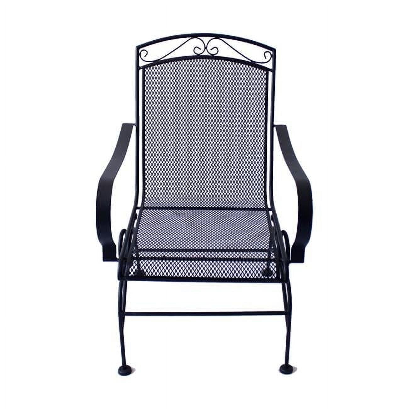 Living Accents Winston Spring Dining Chair, Woven, Outdoor Indoor Patio ...