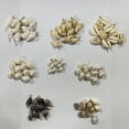 80Pcs 8 Style Natural Shell & Pearl Pendants with Copper Wire Light ...