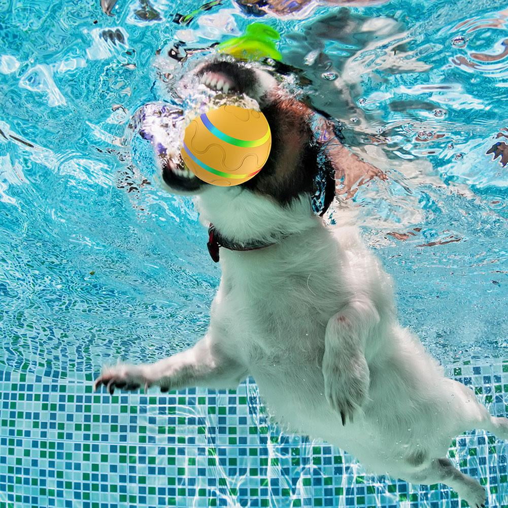 80mm Smart Bouncing Ball Orange - Remote Control Wicked Ball New Bite ...