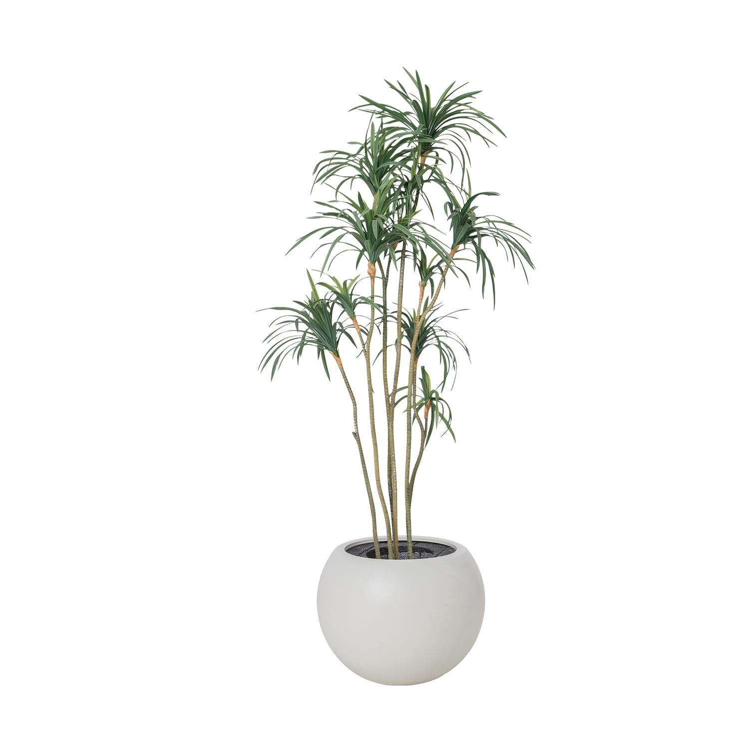 81.75'' Artificial Dragon tree in a White fishbowl planter perfect for ...