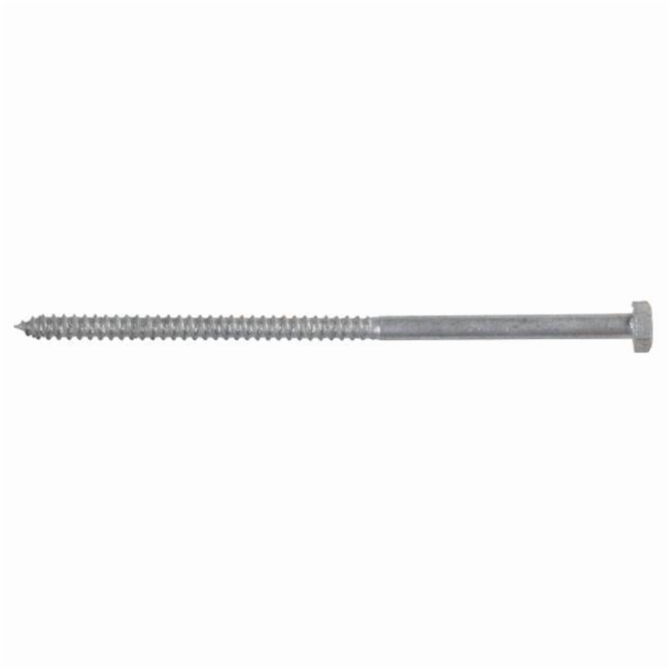 812027 0.25 x 6 in. Galvanized Hex Head Lag Bolt - Walmart.com